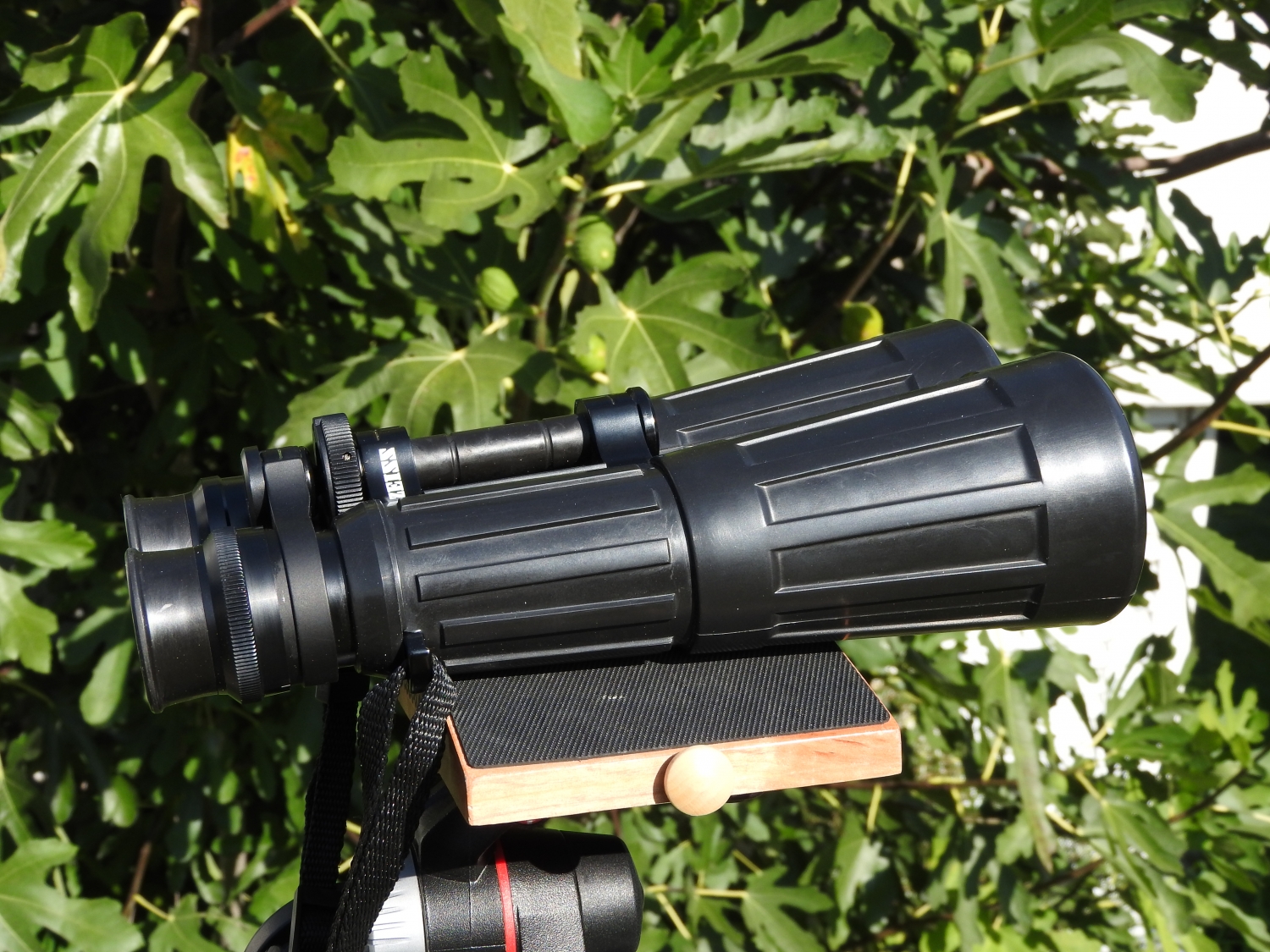 Zeiss Dialyt 8×56 B/GA T – Binoculars Today