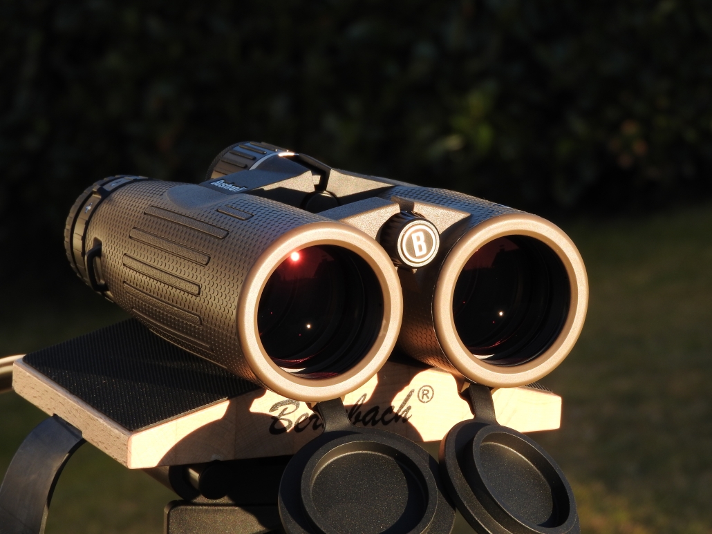 Bushnell Forge 8×42 – Binoculars Today