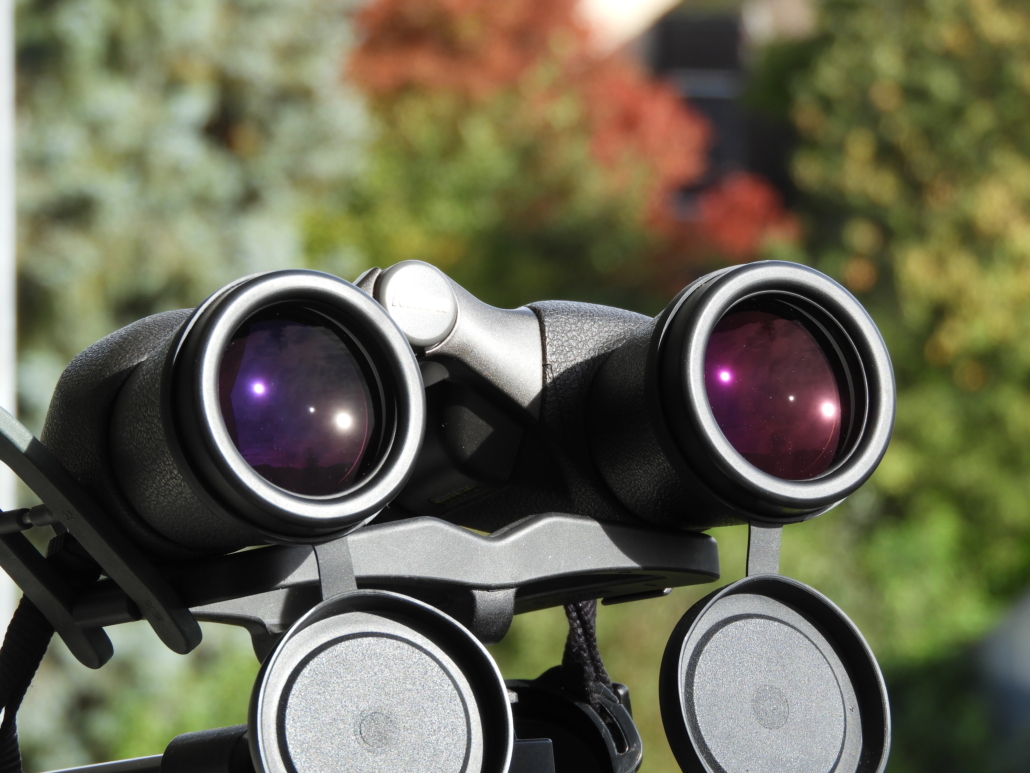 Nikon SE 10×42 – Binoculars Today